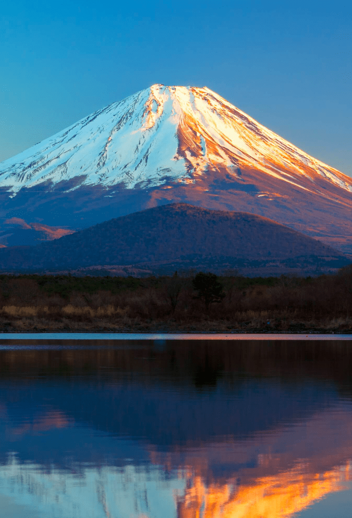 Mount Fuji - Champions Ladder